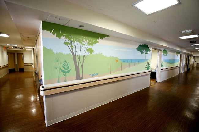 Therapeutic murals bring comfort to patients at Newport Hospital