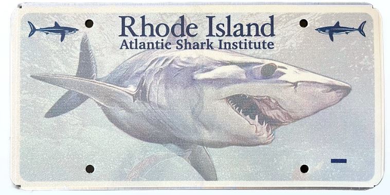 Charity license plates coming to fruition, but slowly