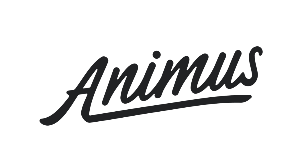 Inside A Local Video Agency: Meet Animus Studios