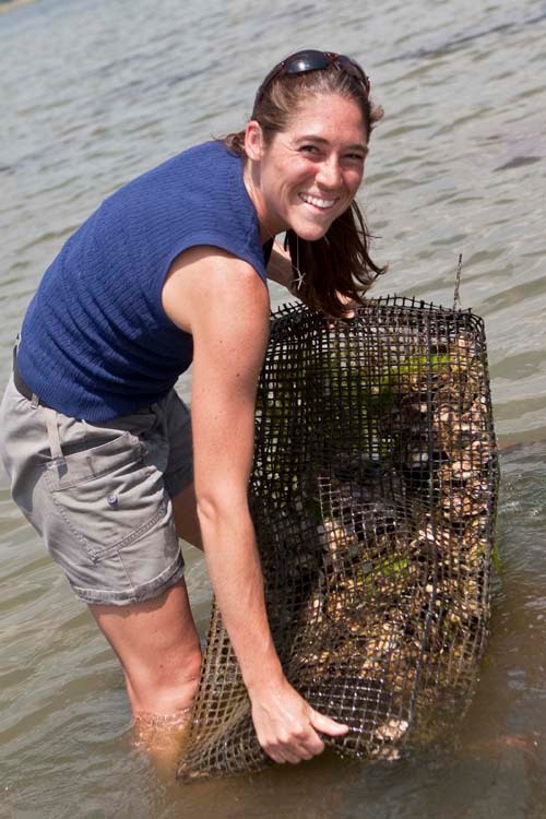 Doctoral student’s report supports expanded shellfish farming in R.I ...